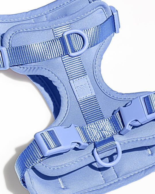 Harnesses – Sir Dogwood