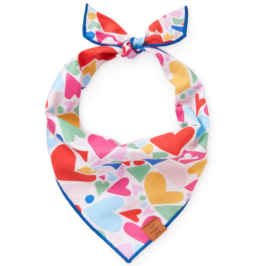 Heart To Heart Dog Bandana – Sir Dogwood